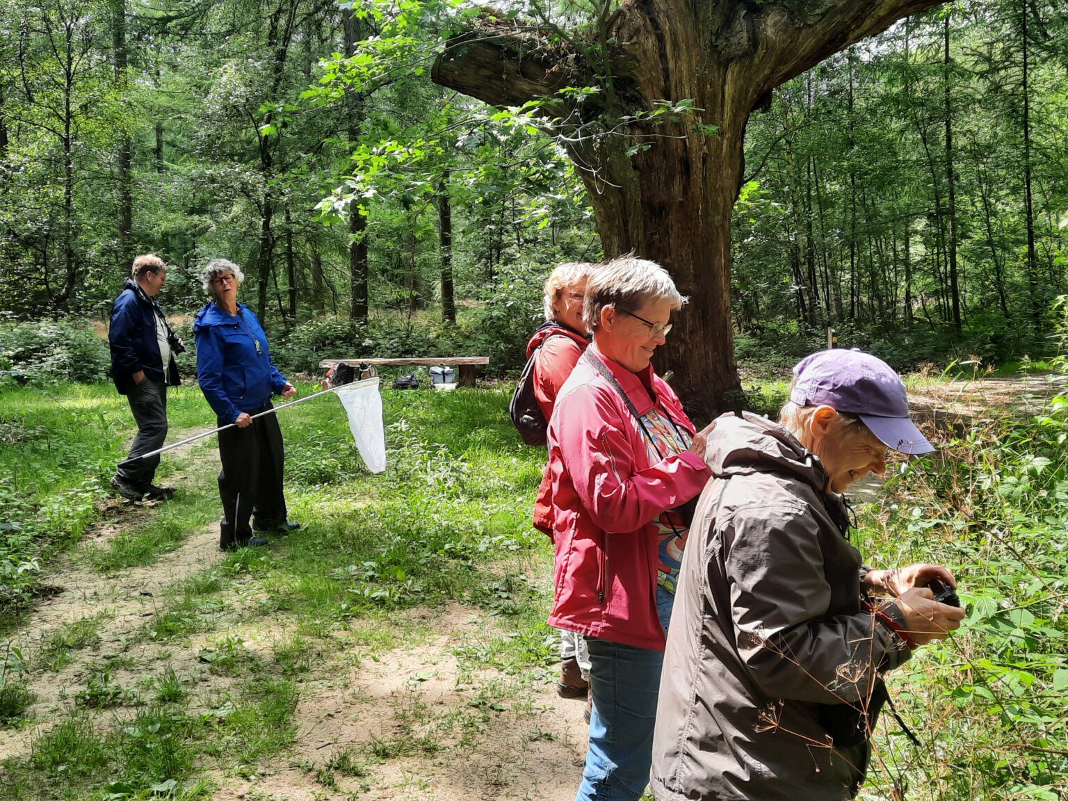 Een week in de wereld van insecten – VVA Aristaeus